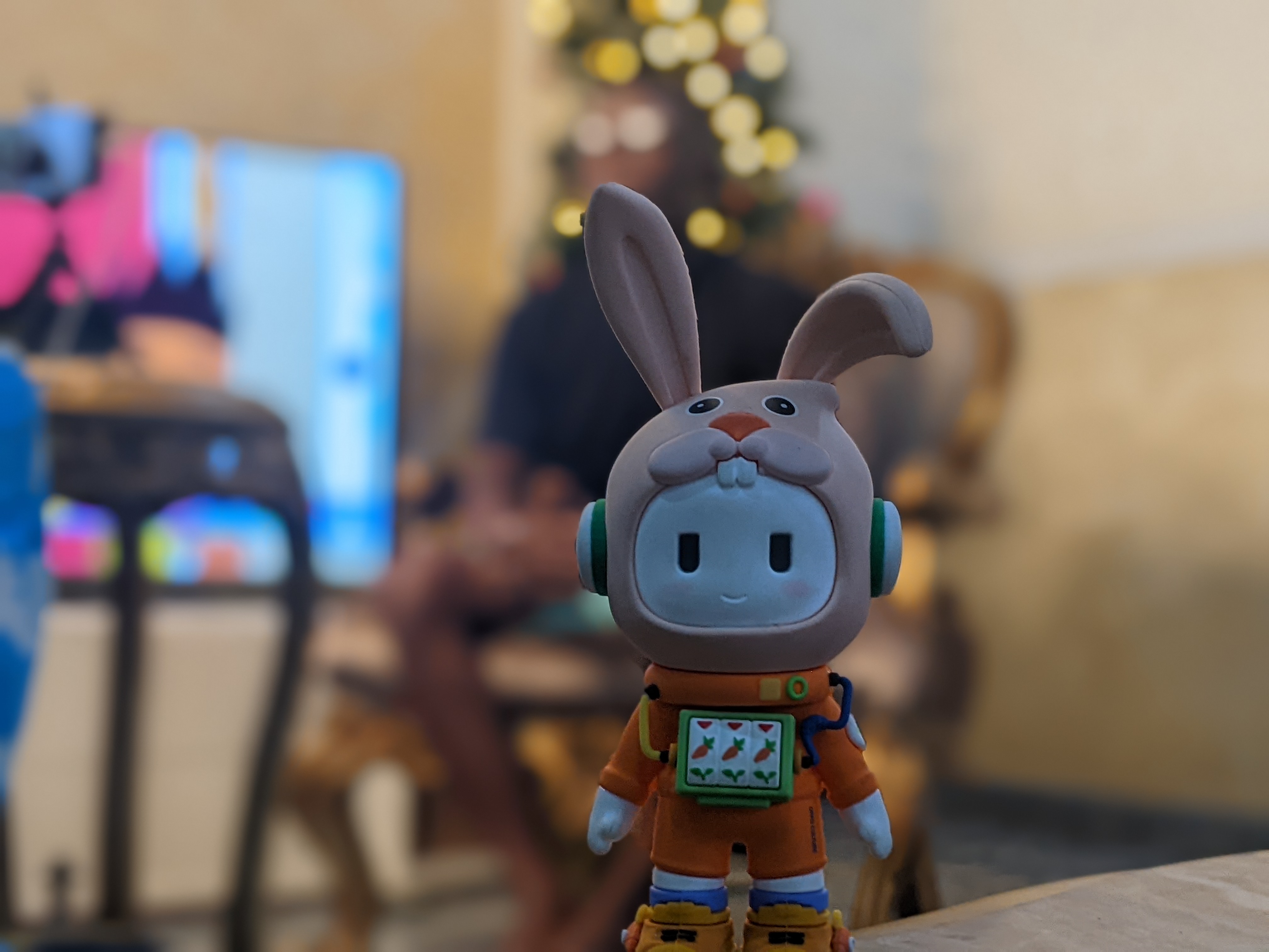 [ WEEK 2 ]I took this photo of Bunny Ollie while I was invit