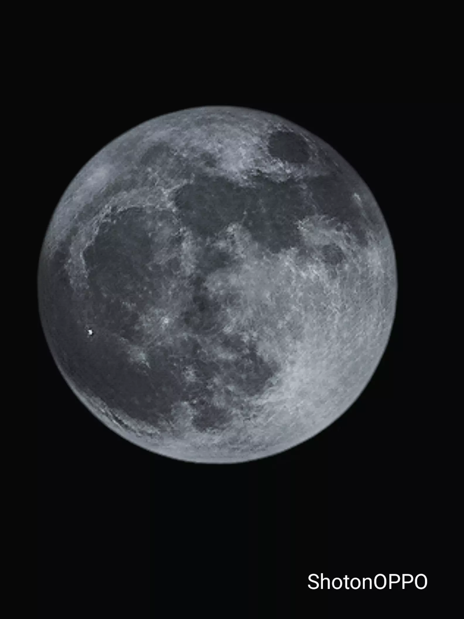 OPPO Global Community