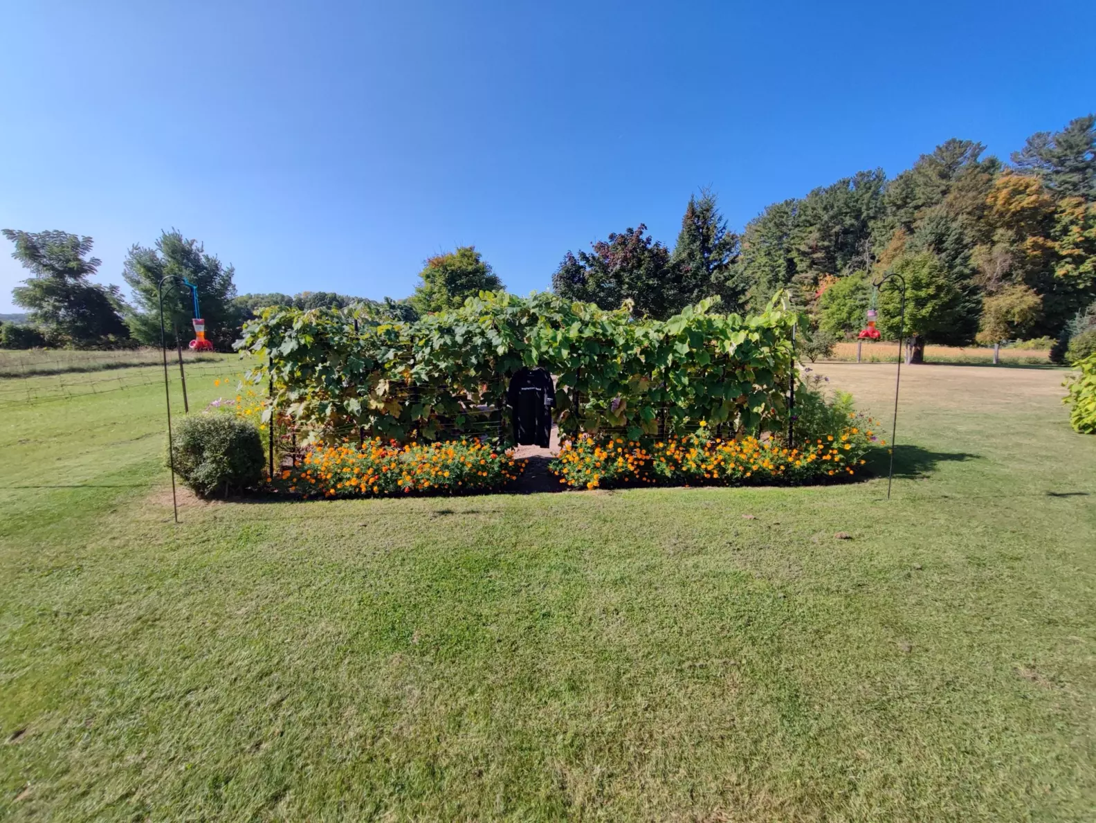 OPPO Global Community