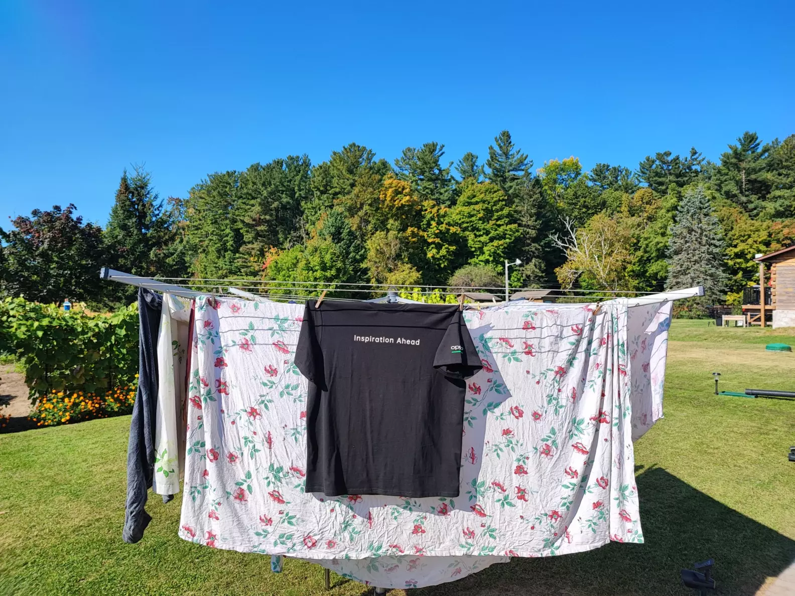 OPPO Global Community