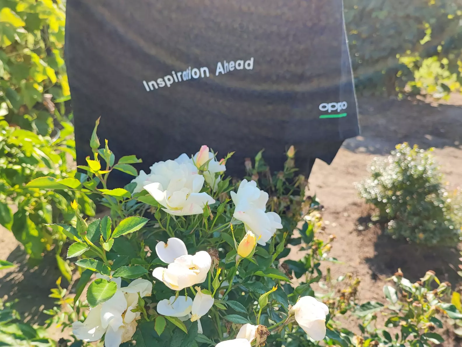 OPPO Global Community