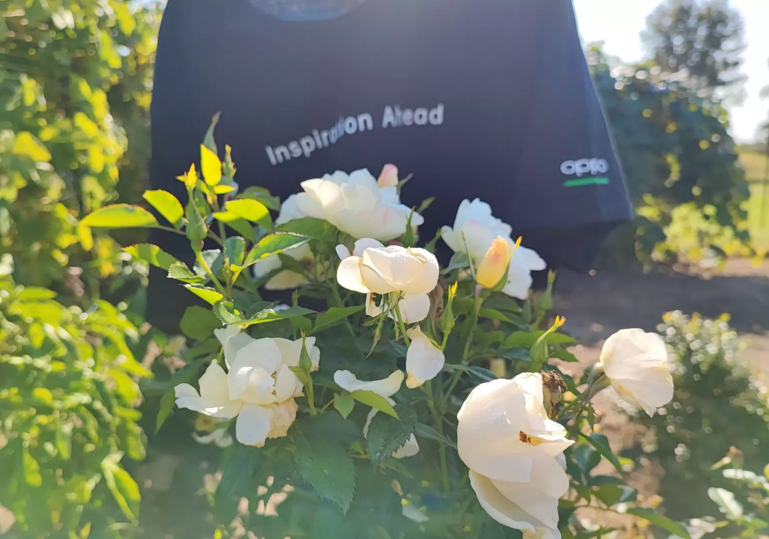 OPPO Global Community