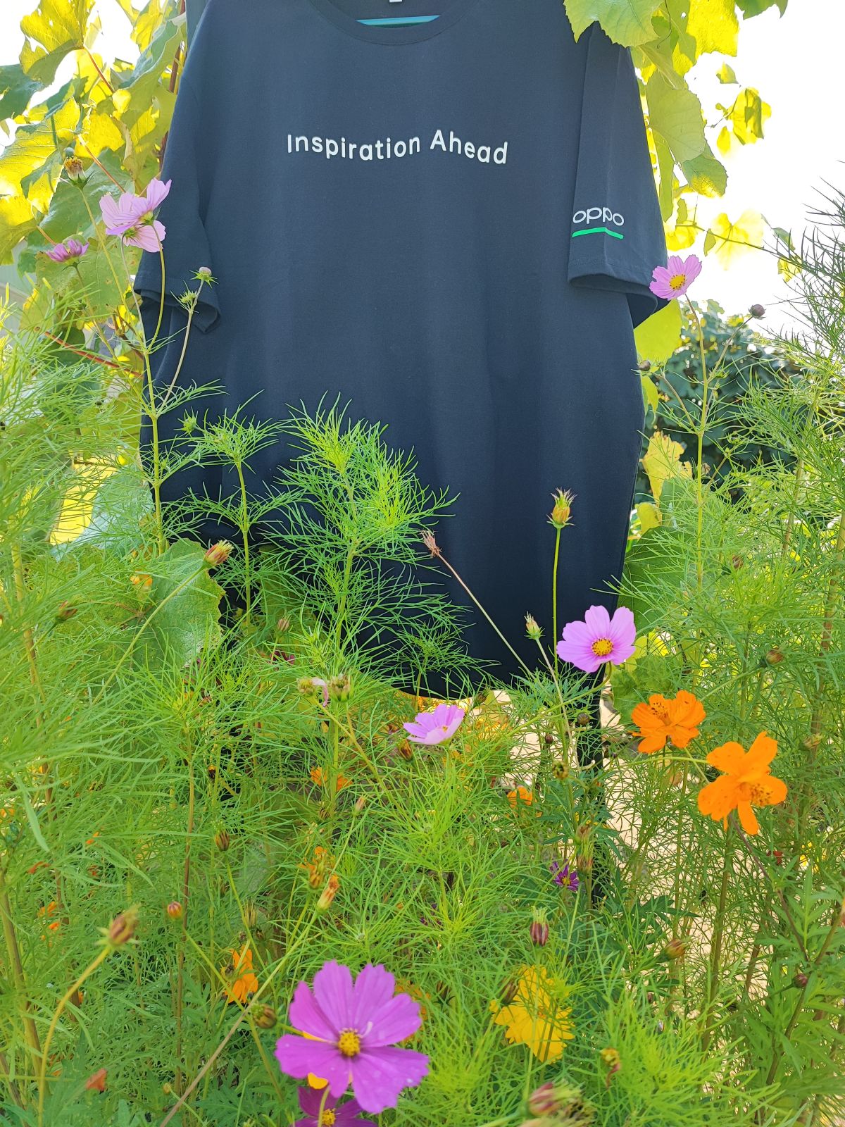 OPPO Global Community