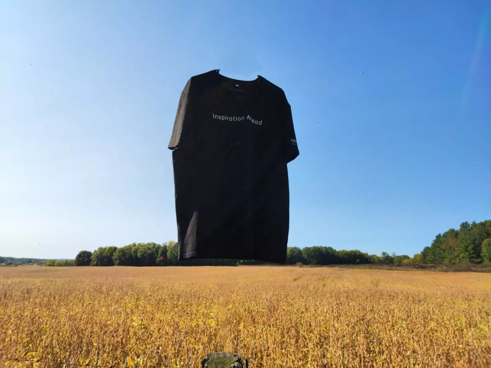 OPPO Global Community