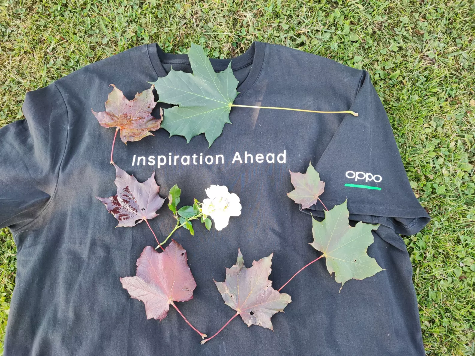 OPPO Global Community