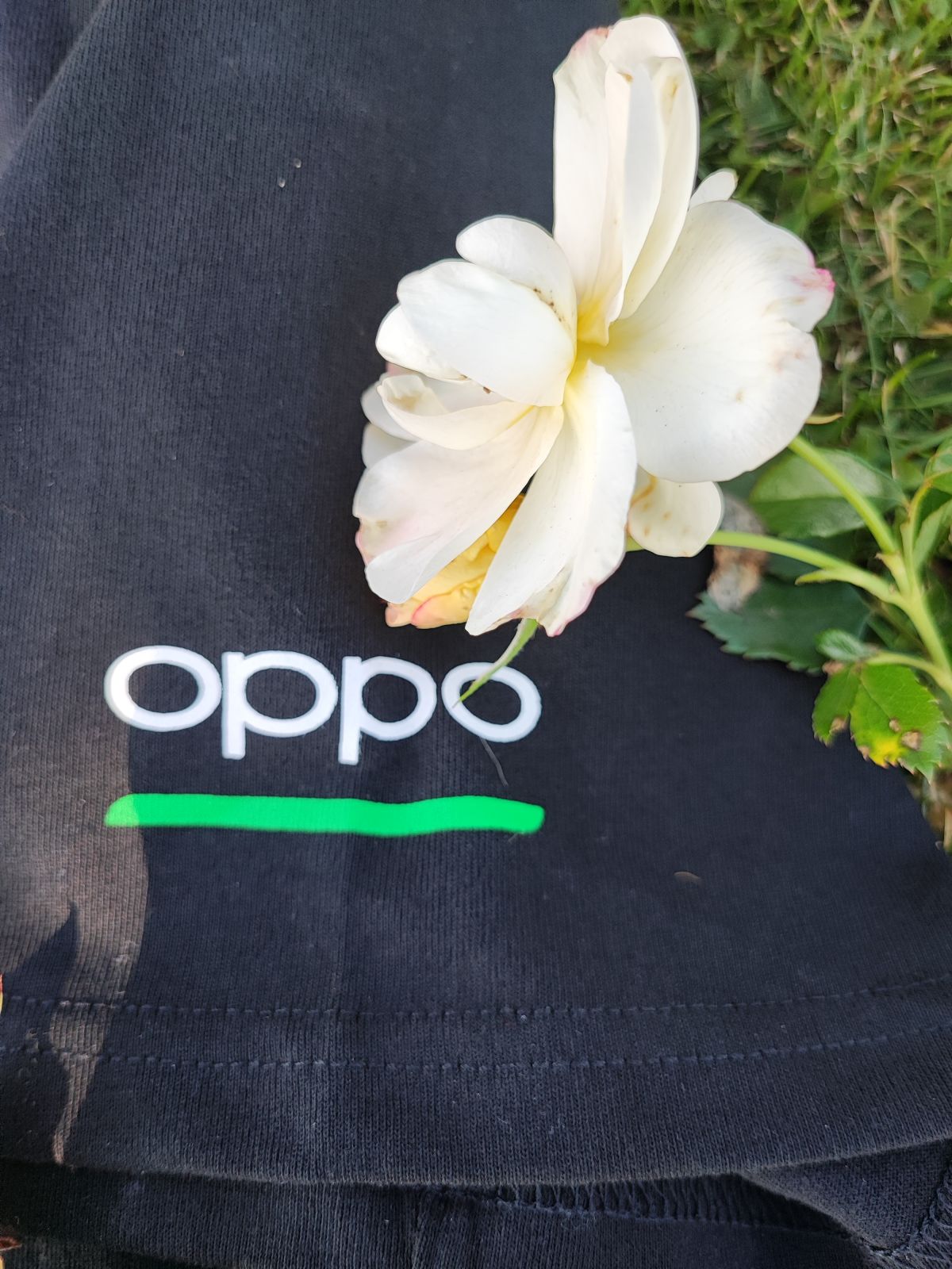 OPPO Global Community
