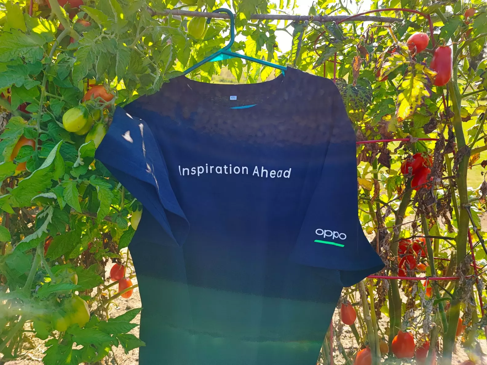 OPPO Global Community