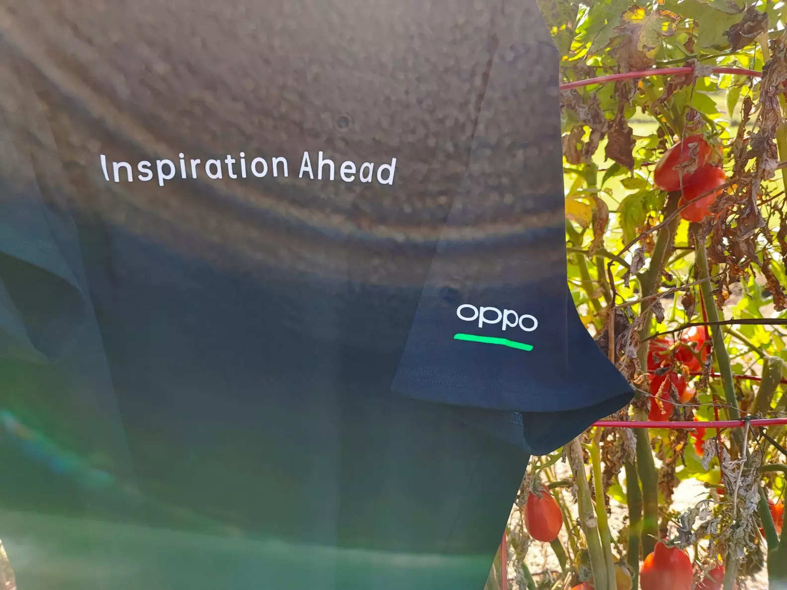 OPPO Global Community