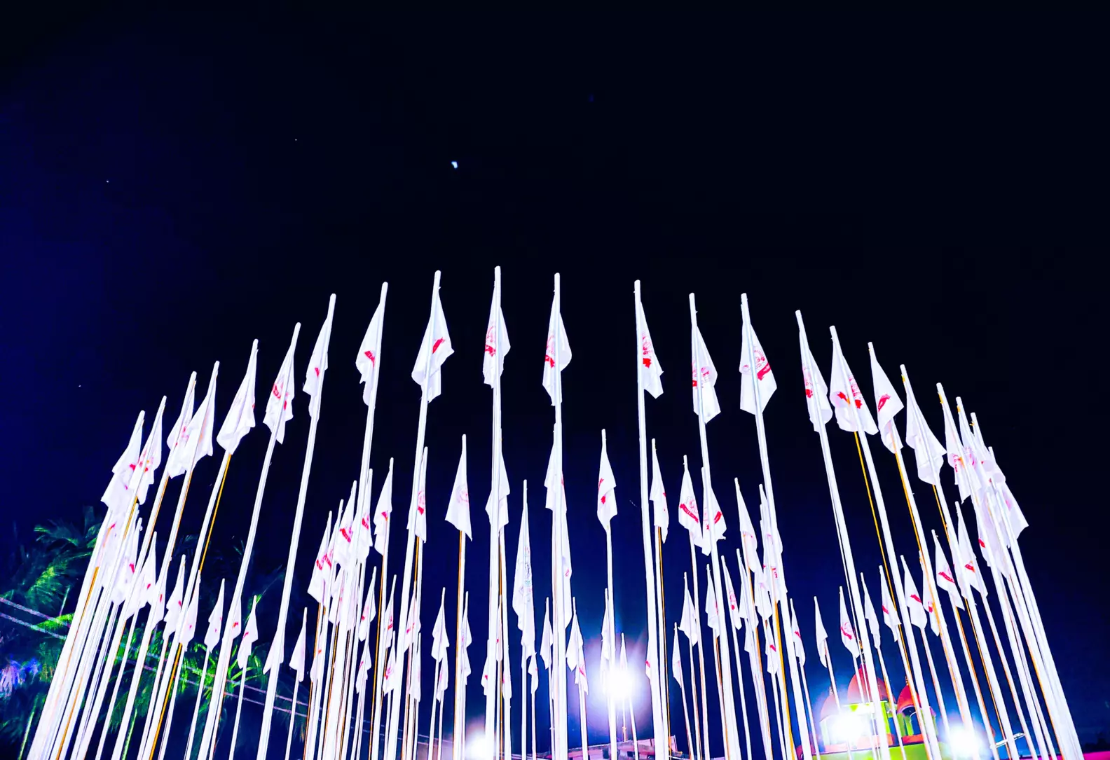 Night sky || Durga Puja|| 100th years