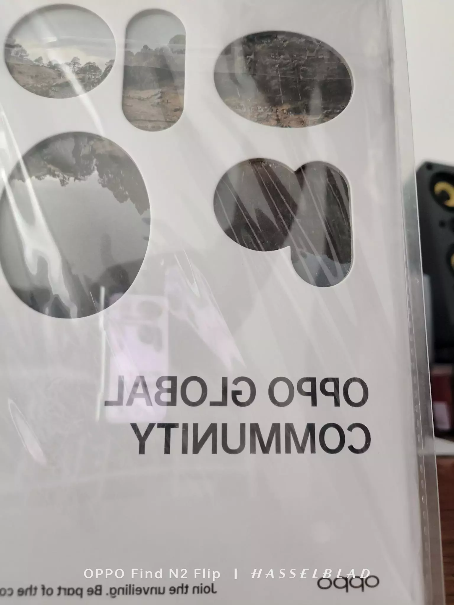 Wondering if anyone has found a work-around for flipped text