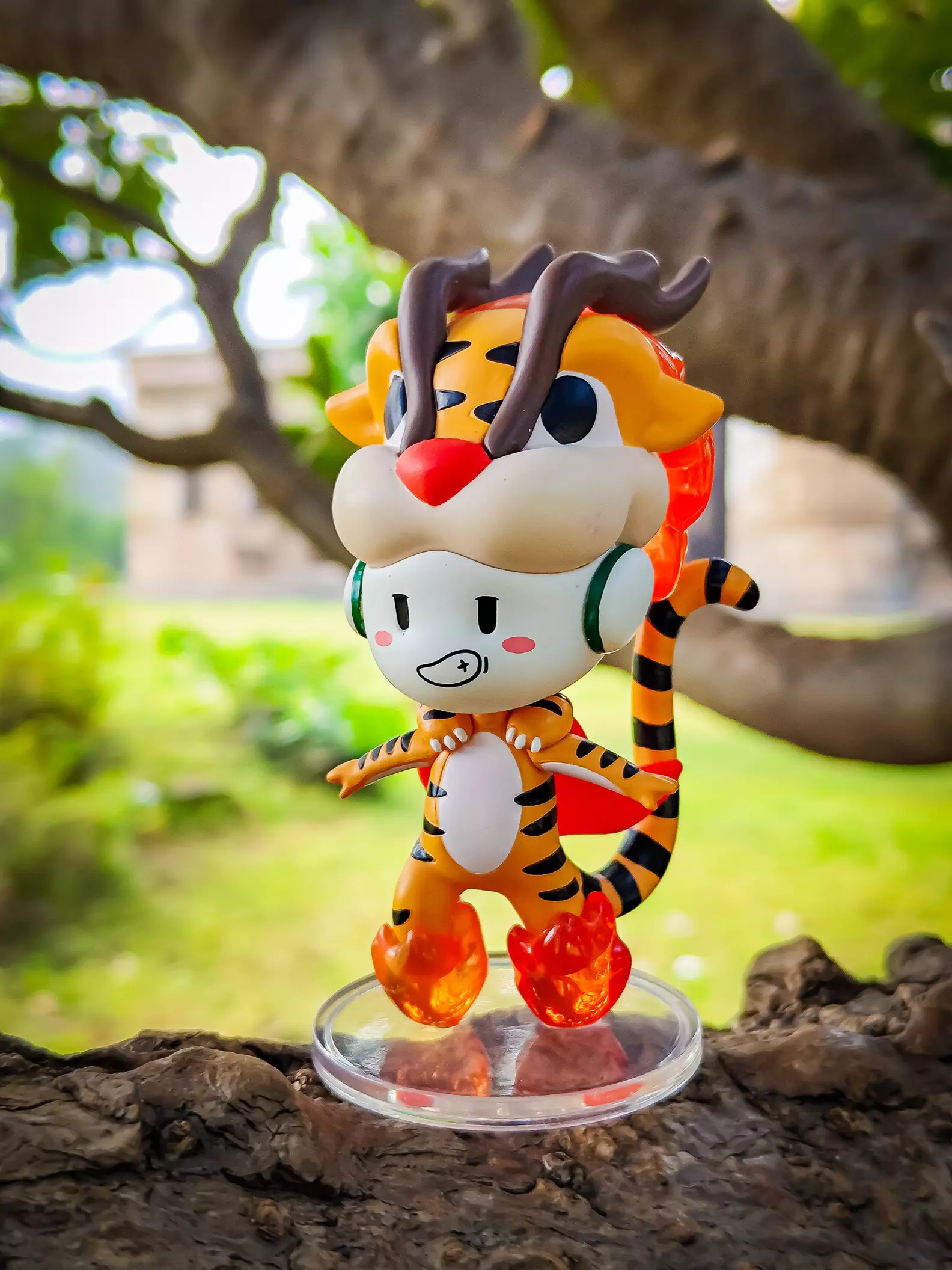 Hello Ollie Seekers!I hope your weekend was as adventurous a