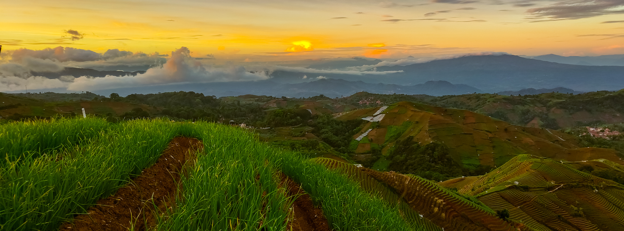 eXPANding your view with OPPO Find N3 Flip