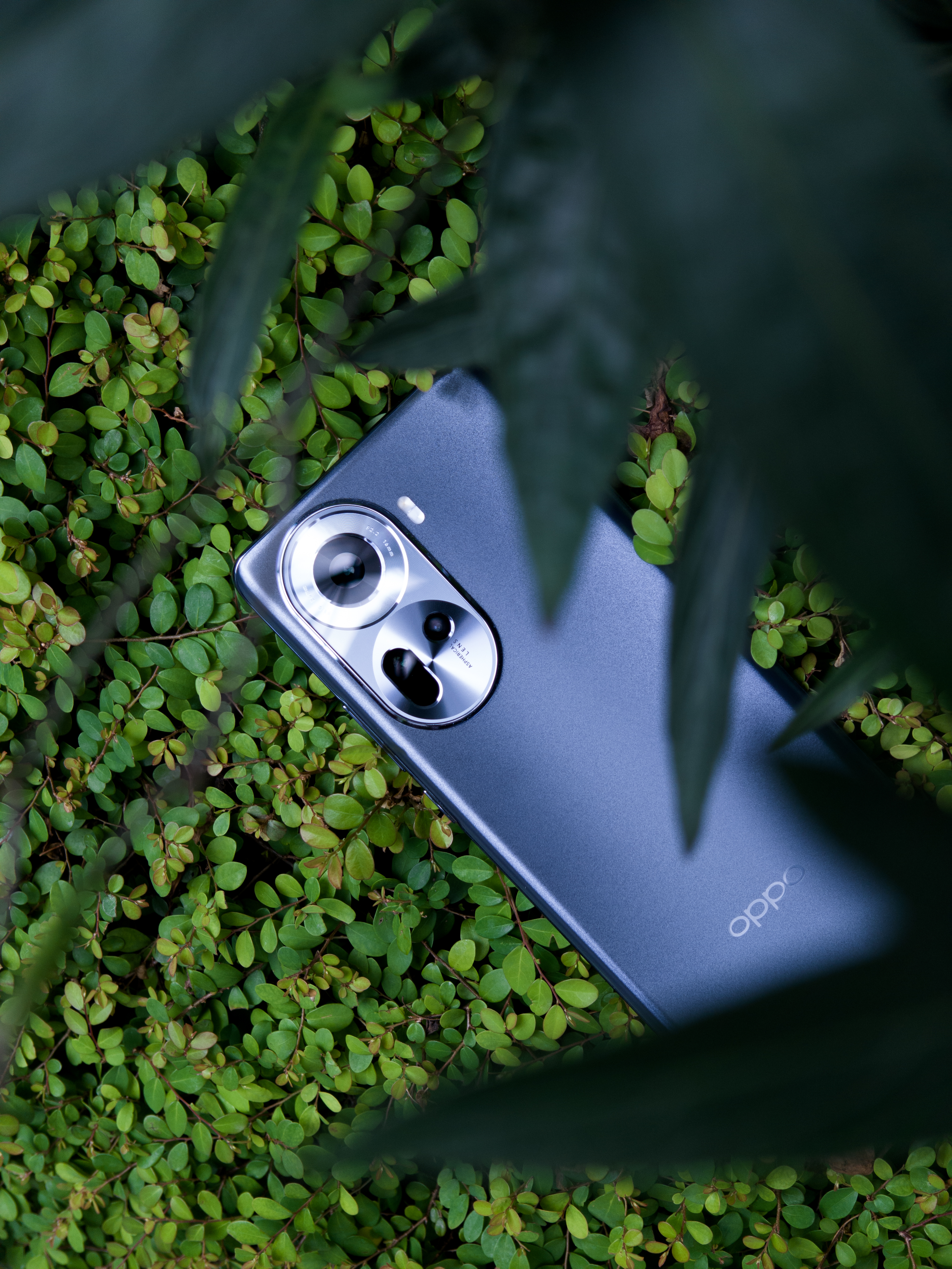 The beauty of OPPO Reno11
