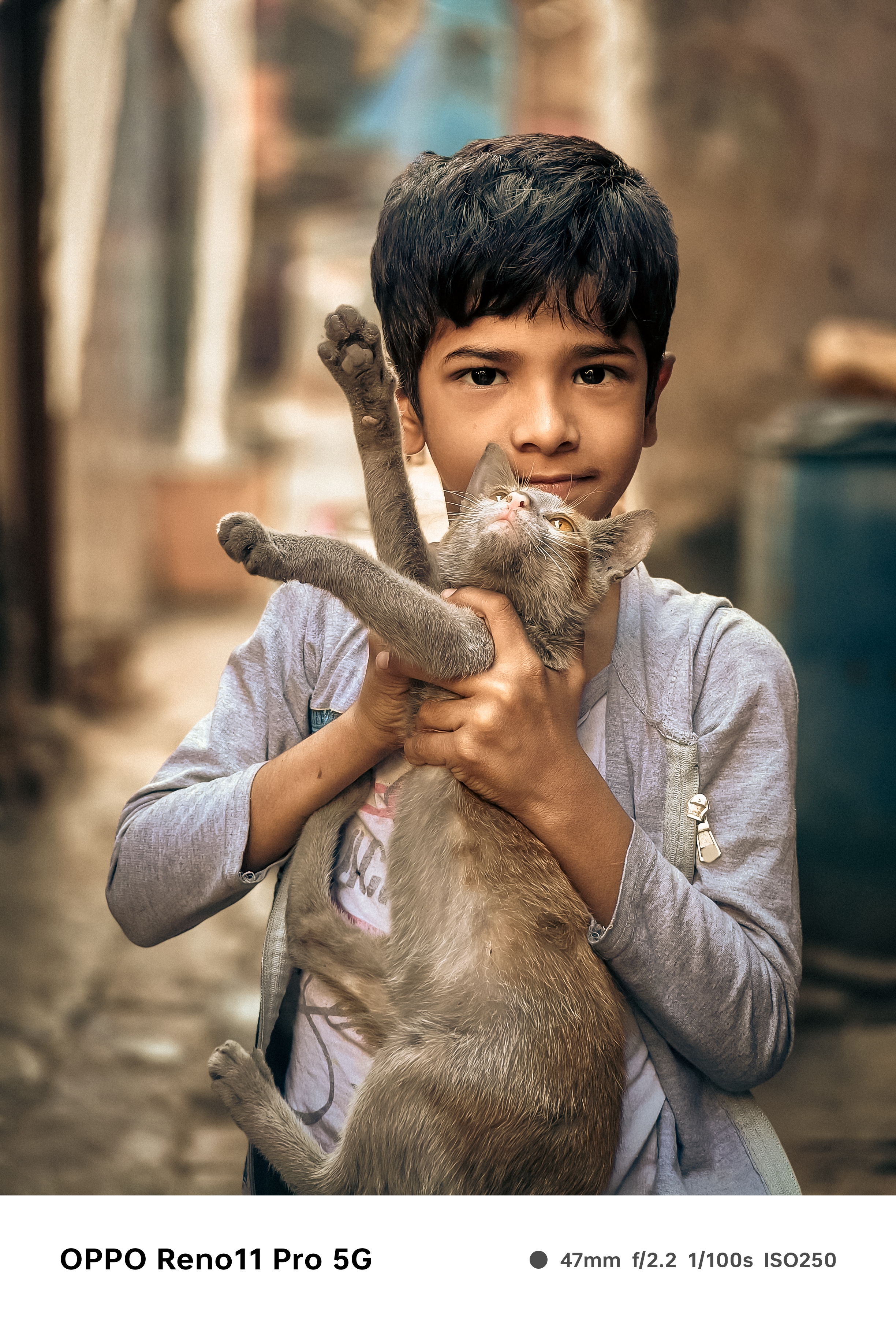 Let's capture the different moods of street cats with the OPPO Reno11 Pro