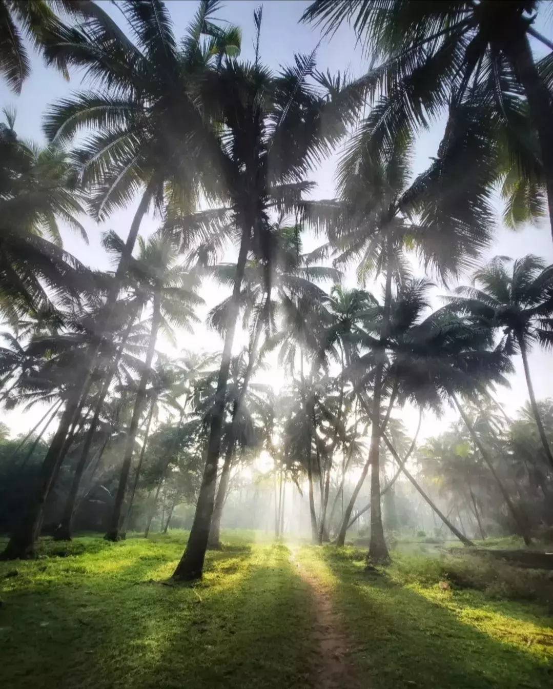 OPPO Global Community