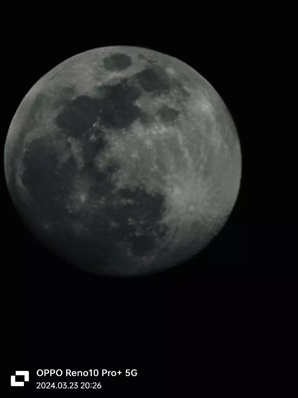 OPPO Global Community