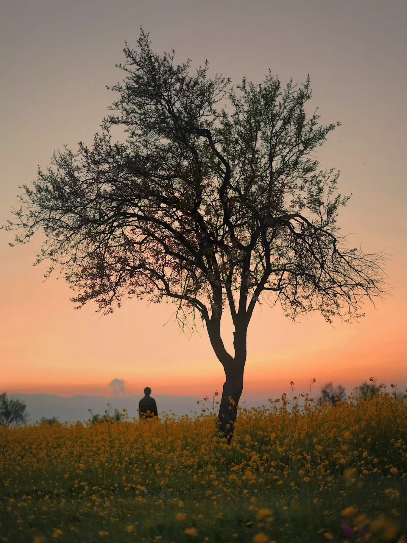 A sunset is nature's way of saying goodbye to the day