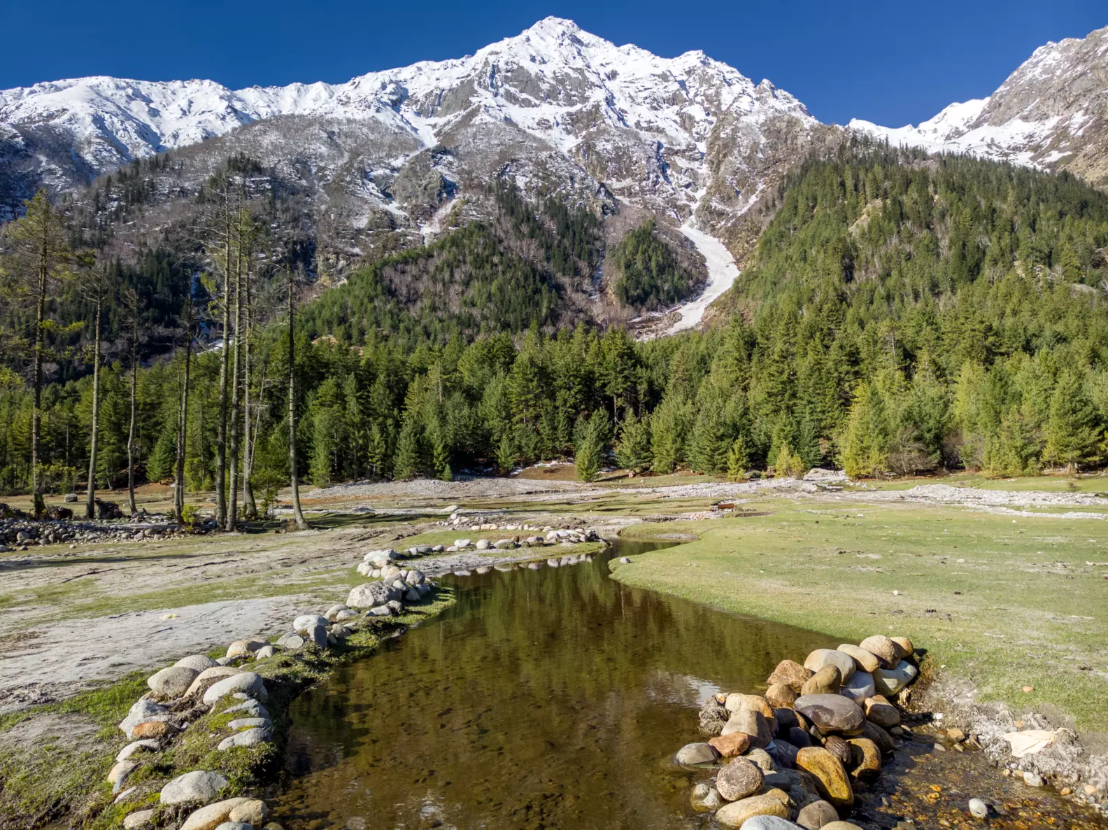 Gorgeous Morning at Rakcham Valley in Himachal Pradesh, Indi