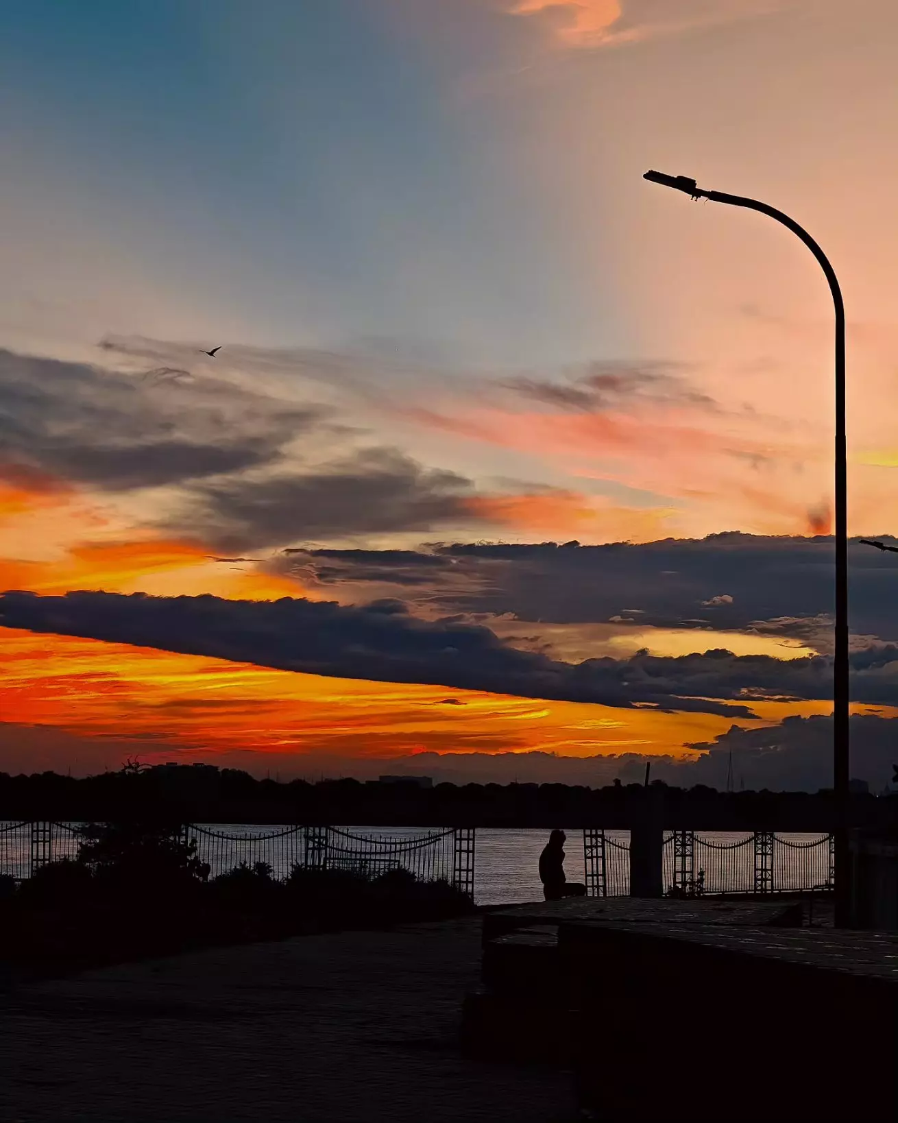 Camera Samples of OPPO RENO 12 PRO 5G