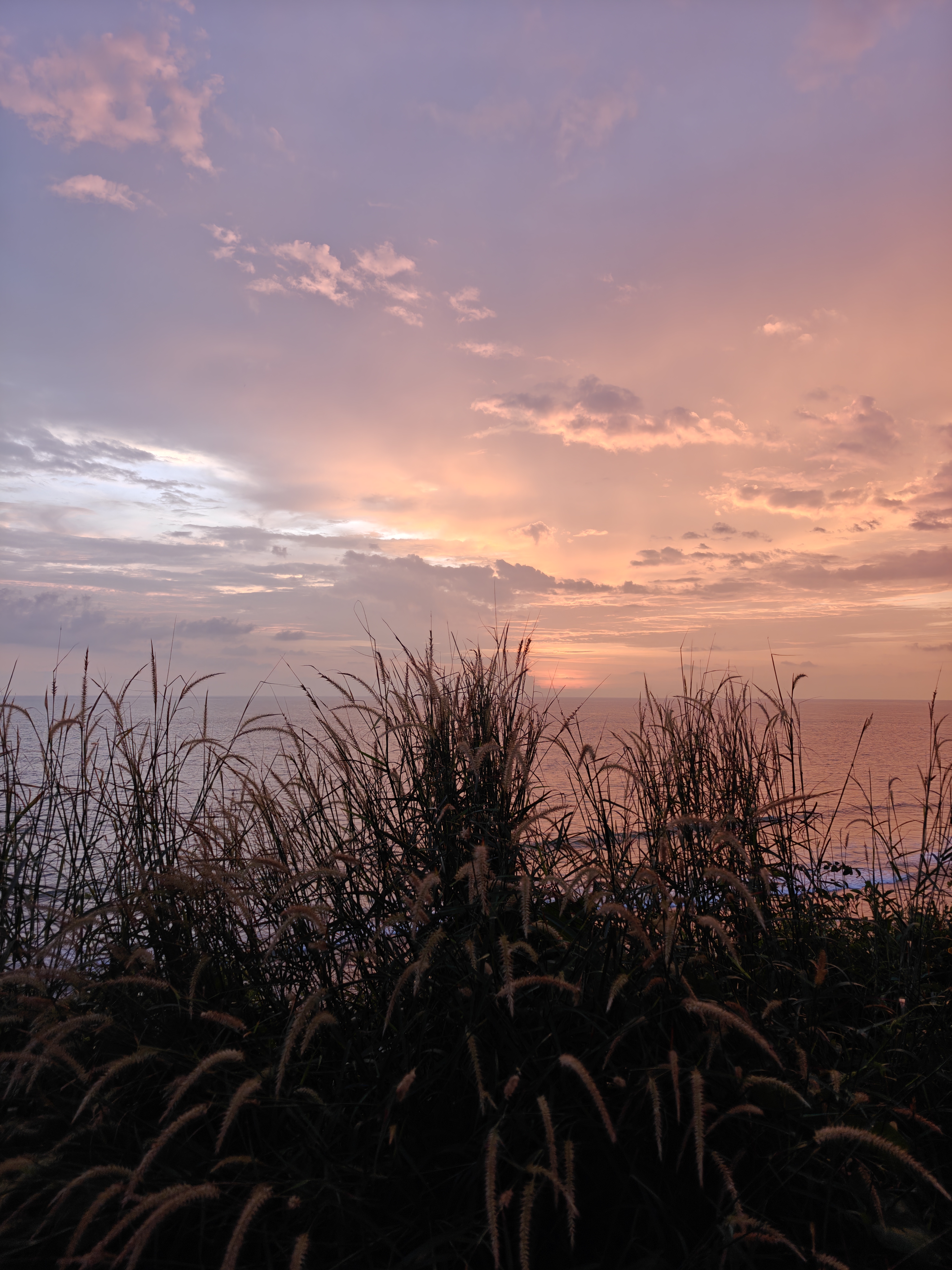 My favorite ColorOS 15 feature: Photo Modes