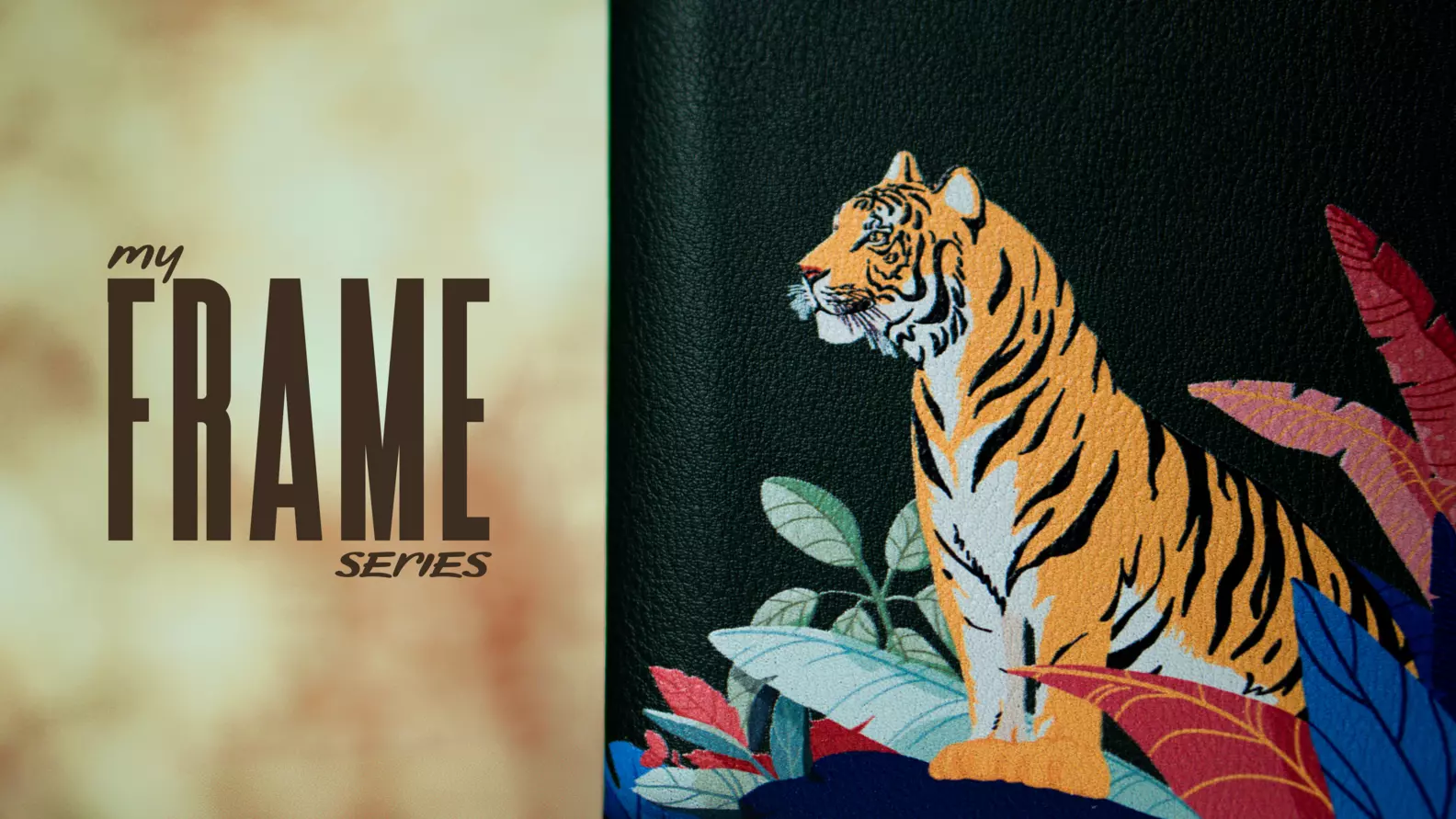 My Frame Series