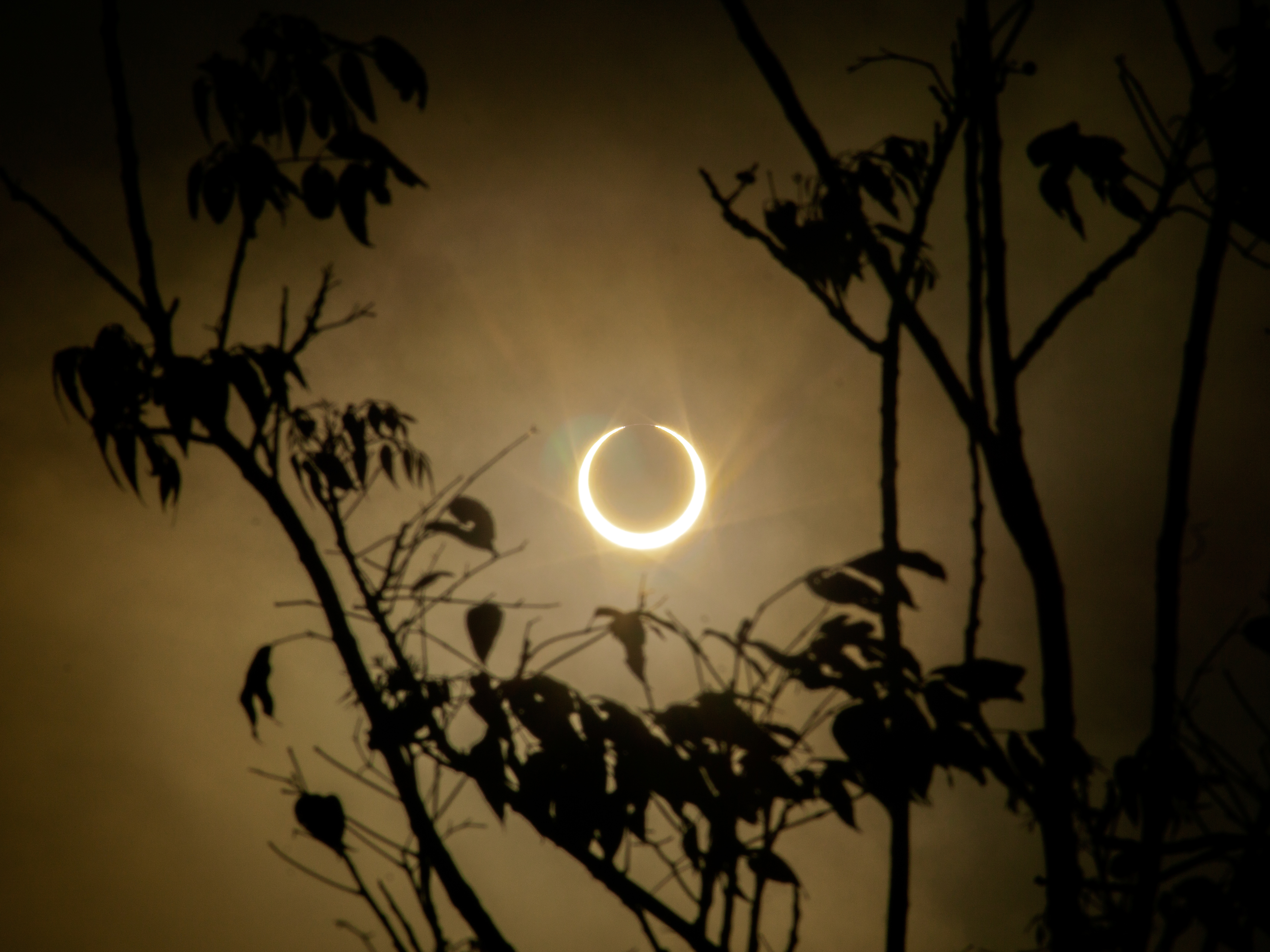 Snaps from the Totality Solar Eclipse (December 26, 2019)I h