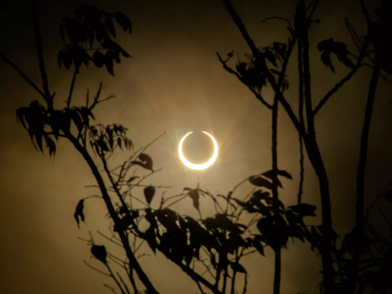 Snaps from the Totality Solar Eclipse (December 26, 2019)I h