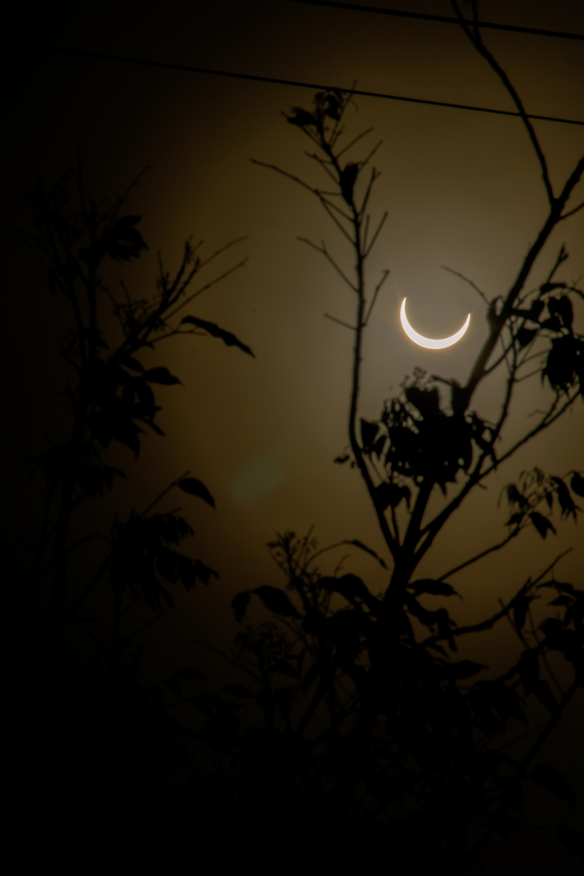 Snaps from the Totality Solar Eclipse (December 26, 2019)I h