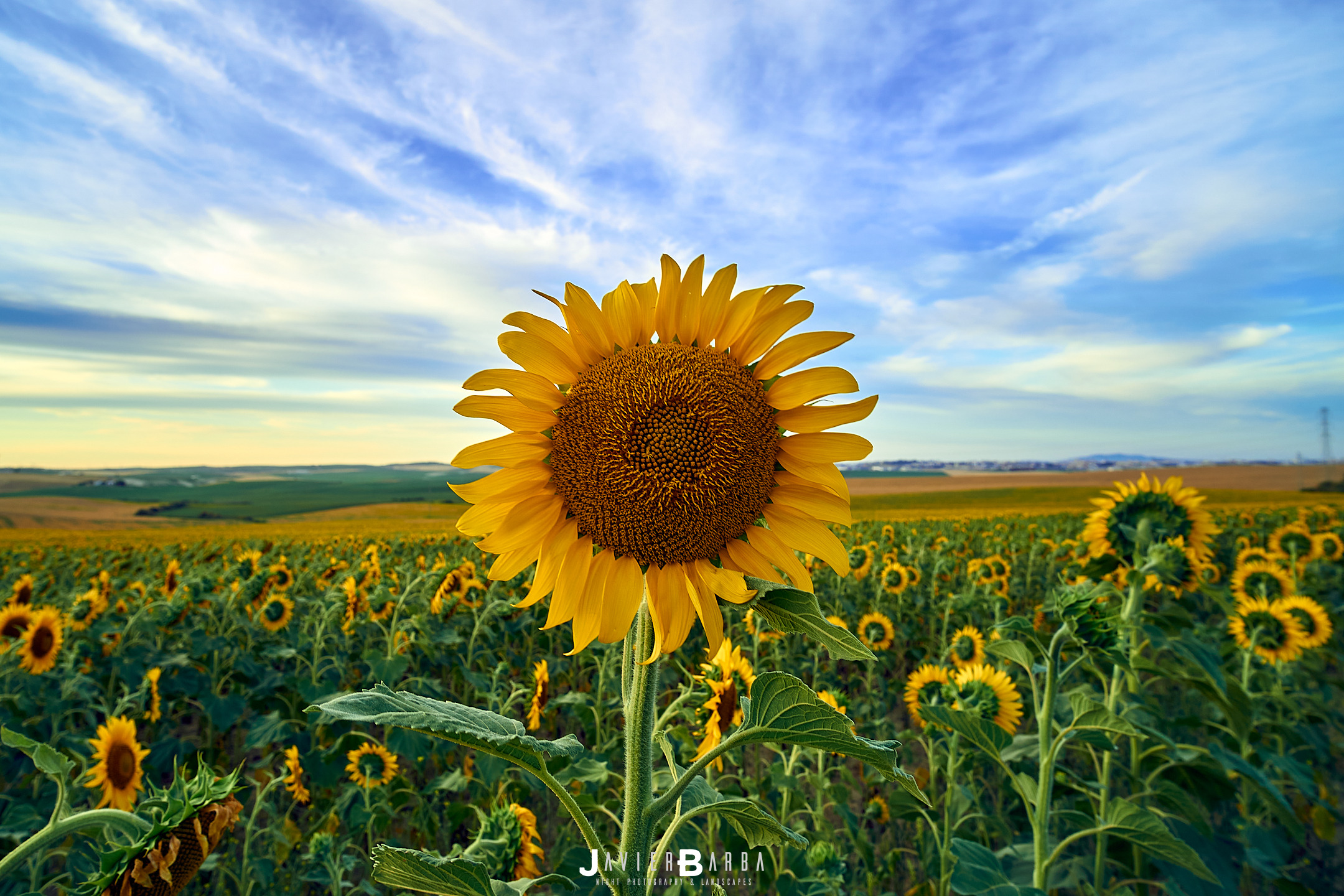 [WINNERS ANNOUNCED] #OPPOMoments April ft. Javier Barba — Capturing ...