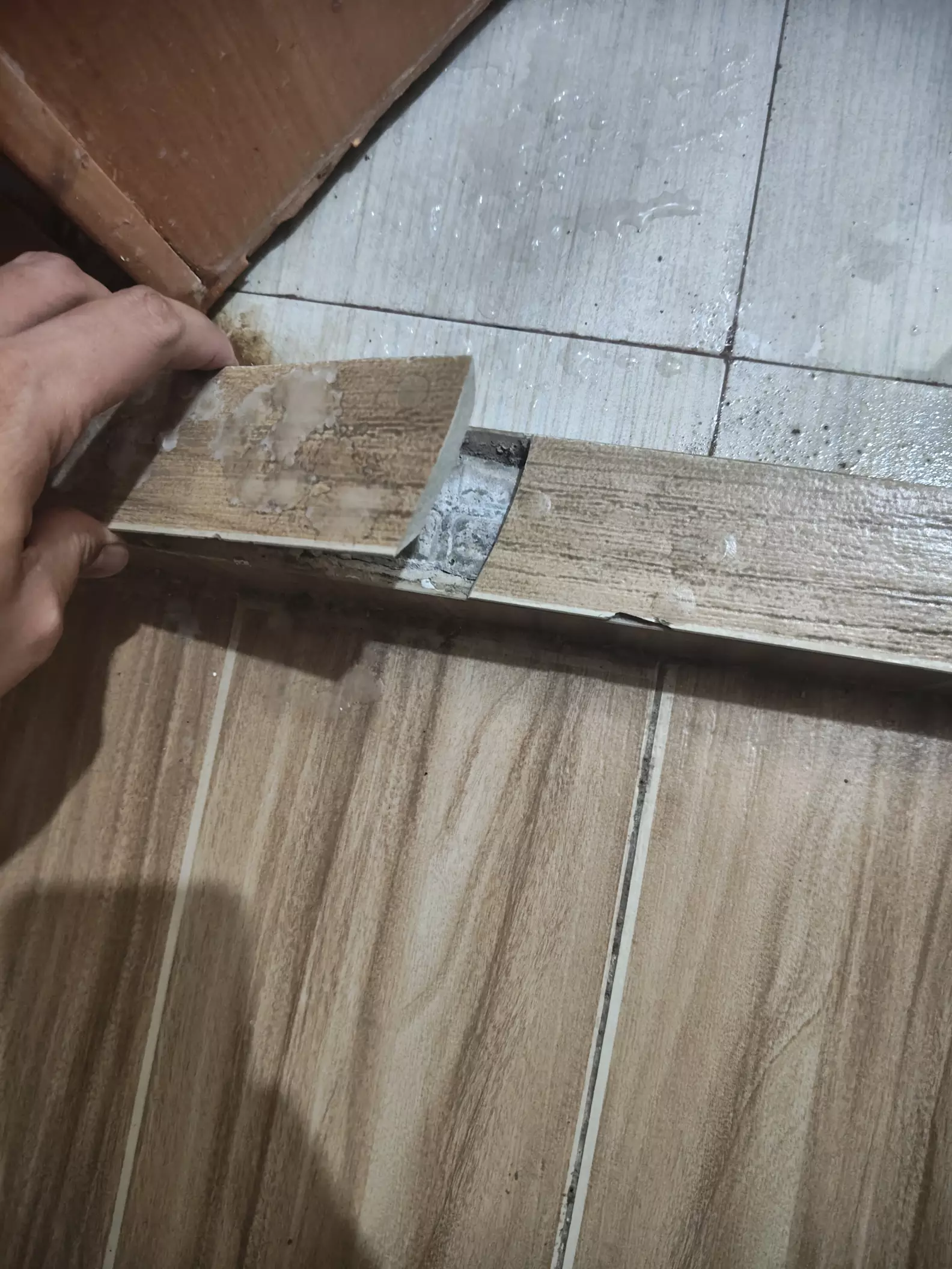 Reno 14 issue