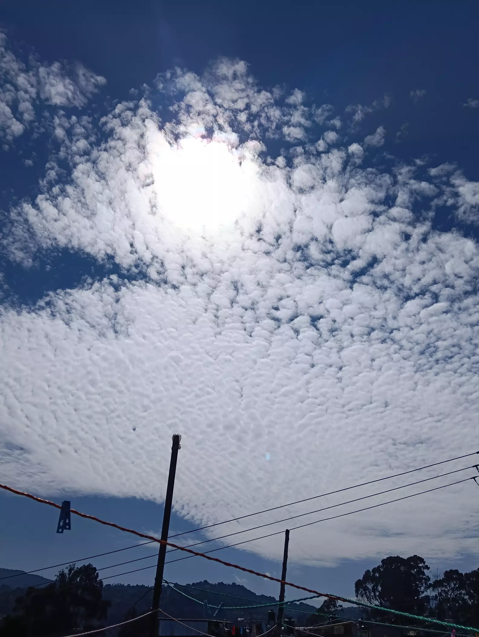 Que tengan una excelente tarde fotos capturadas con mi Oppo